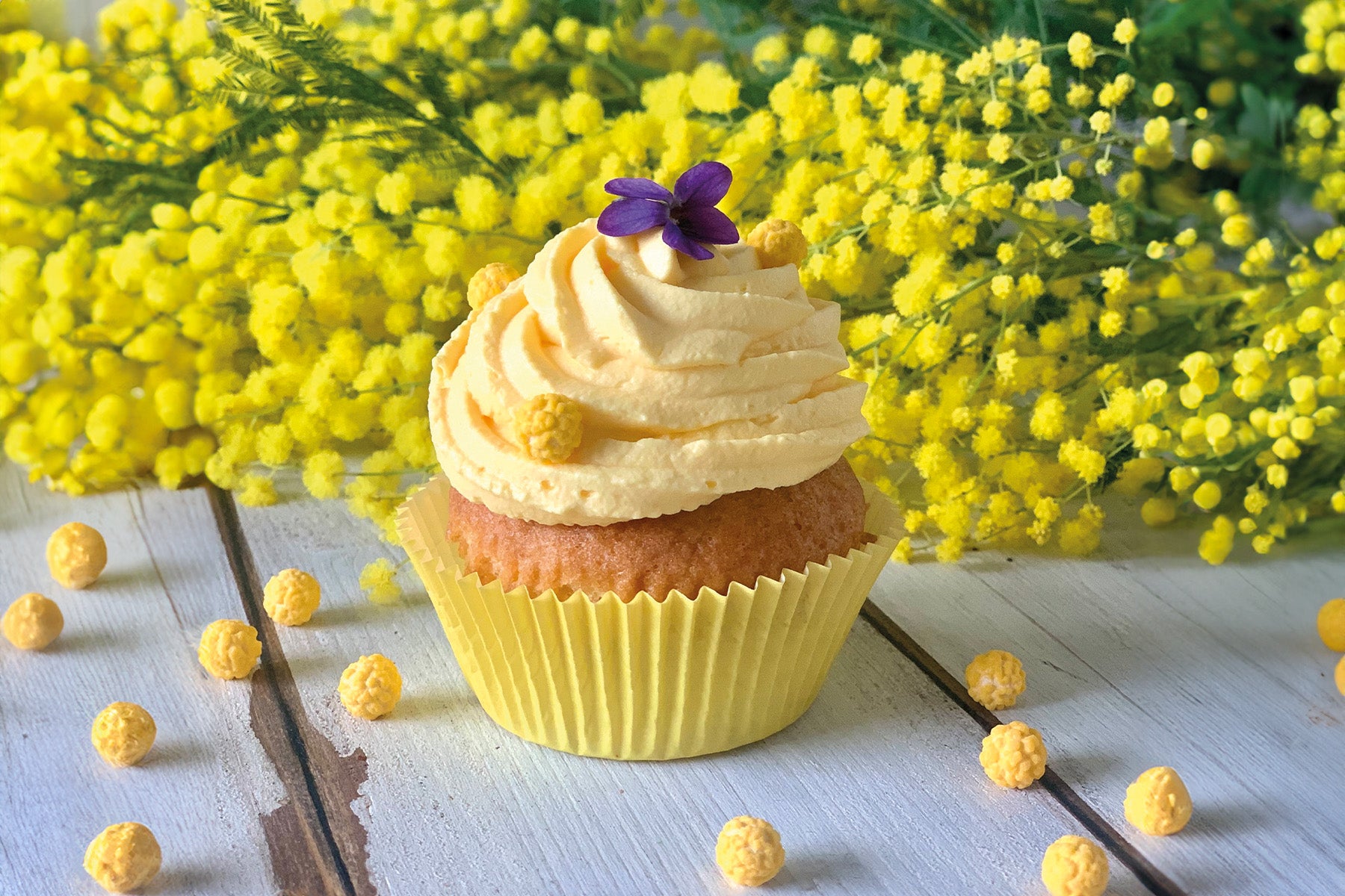 Cupcake Mimosa – Farmo - Eat a better life